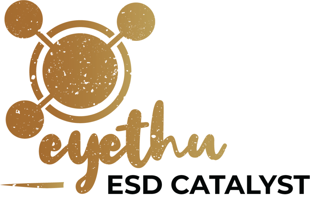Eyethu ESD Catalyst - Eyethu Online